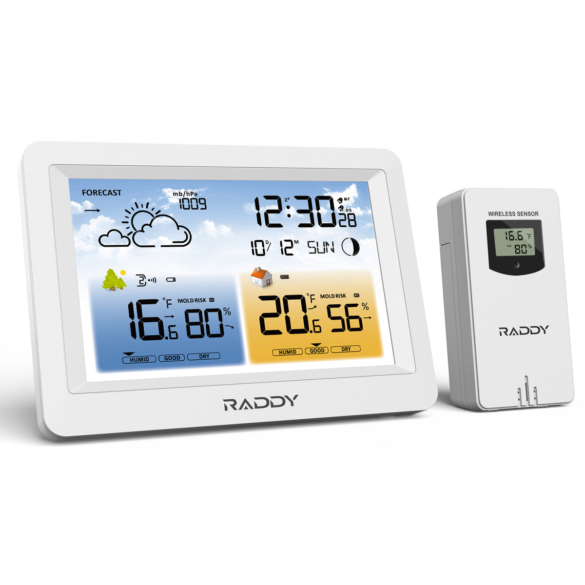 Raddy WM6 Weather Station | Wireless Thermometer Hygrometer | Built-in ...