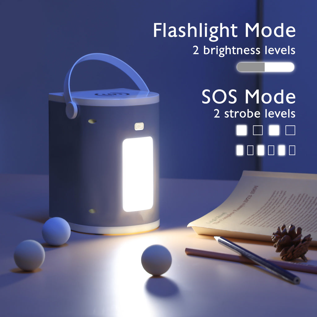 Xiegu DH100 Portable Power Station | 100W 88.8Wh | Wireless Charging ...